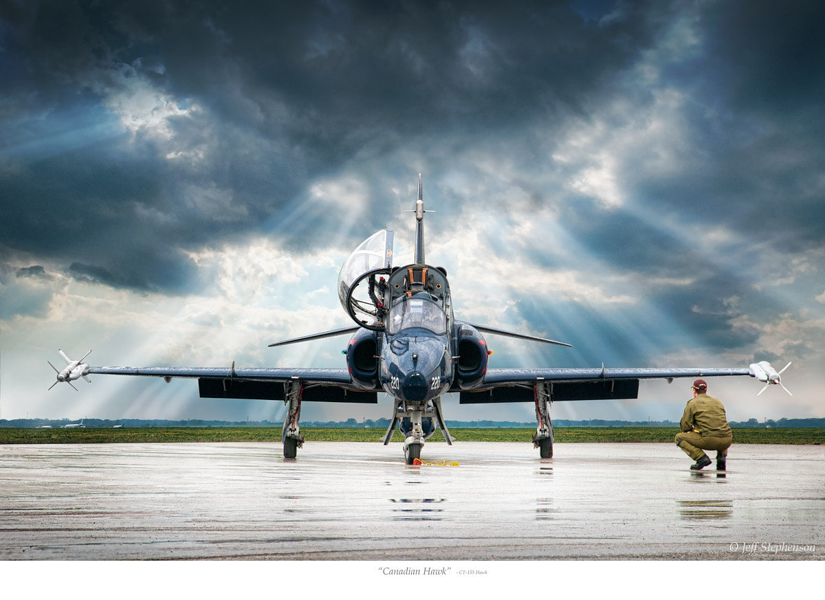 "Canadian Hawk" – Jeff Stephenson Photography