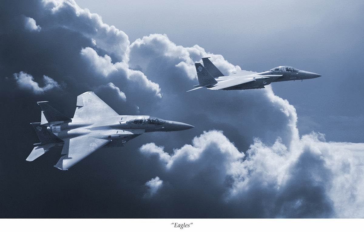 "Eagles" – Jeff Stephenson Photography