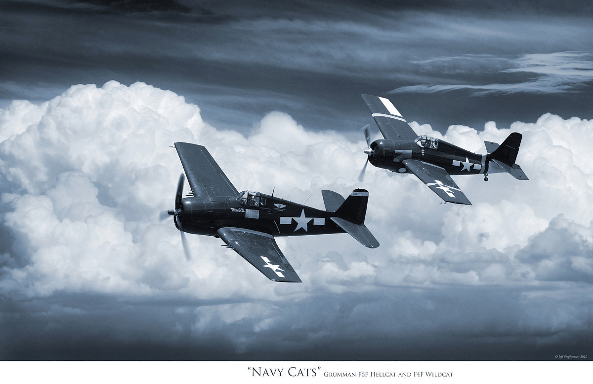 "Navy Cats" – Jeff Stephenson Photography
