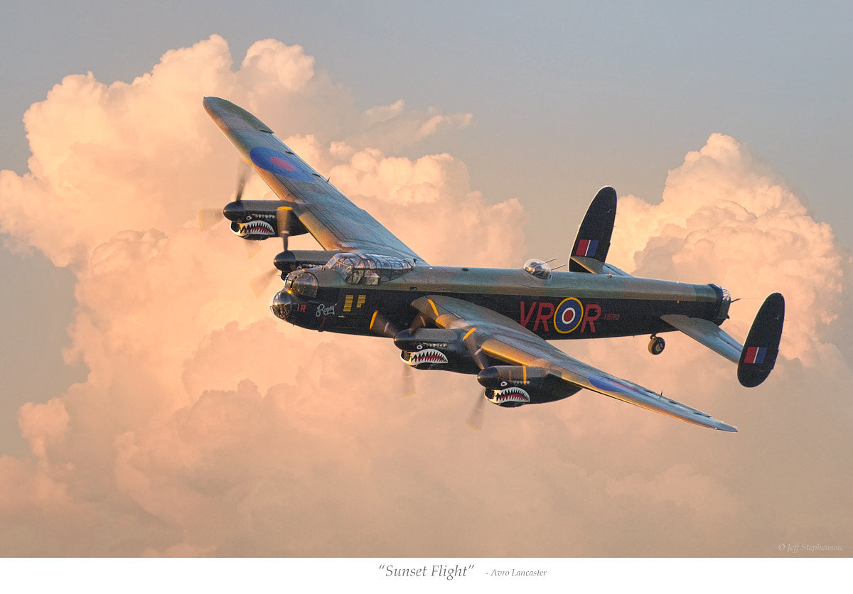 "Sunset Flight" – Jeff Stephenson Photography