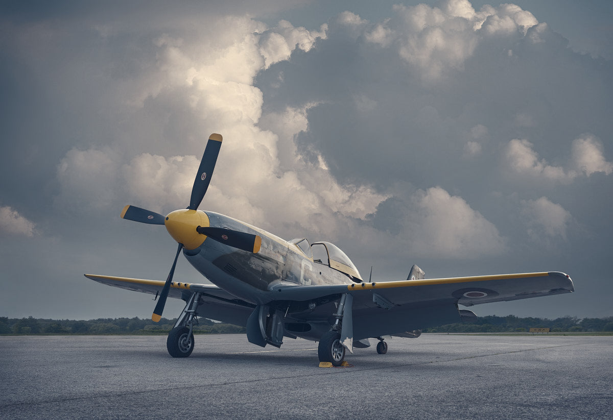 442 Squadron Mustang IV – Jeff Stephenson Photography