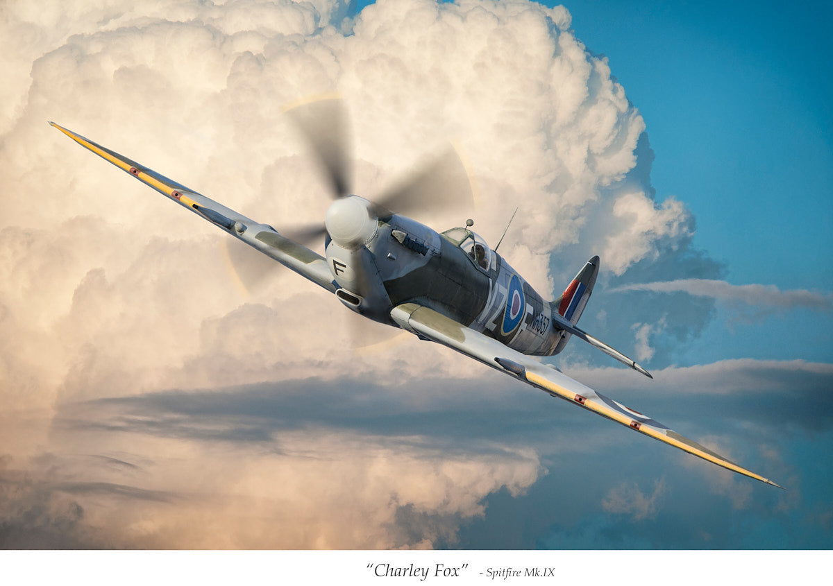 "Charley Fox" – Jeff Stephenson Photography